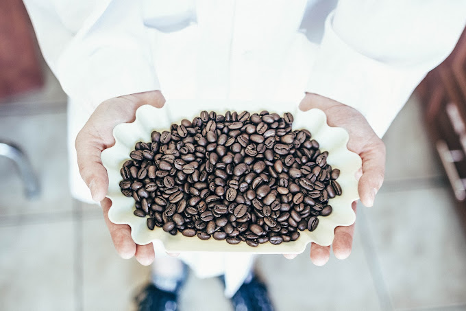 Café William: Premier Coffee Hub in Sherbrooke, Quebec| Roasters Map