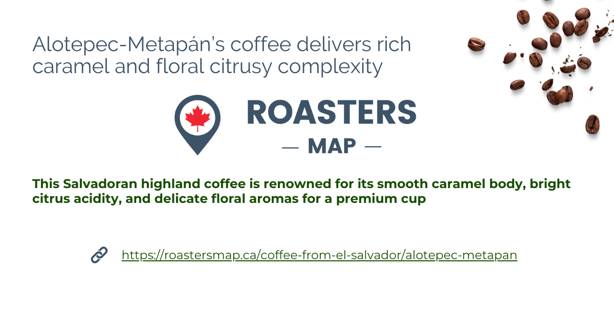 Alotepec-Metapán Coffee – El Salvador’s Hidden Gem | Roasters Map