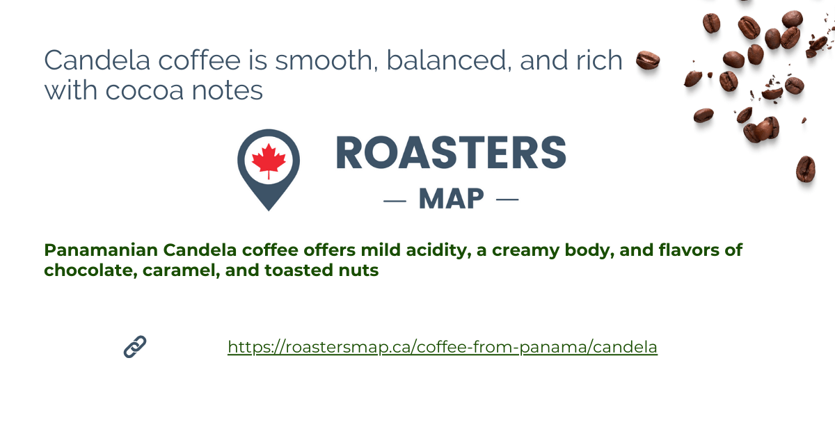 Coffee From Candela – Panama’s Bold Flavor | Roasters Map