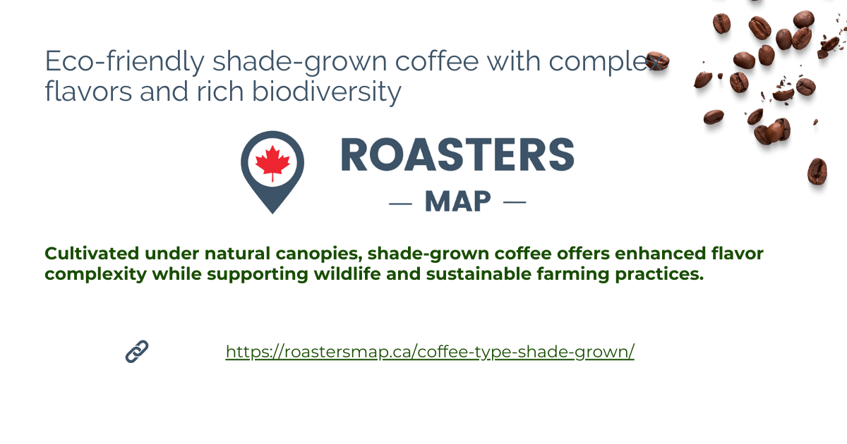 Shade-Grown Coffee: Sustainable & Full-Flavored | Roasters Map