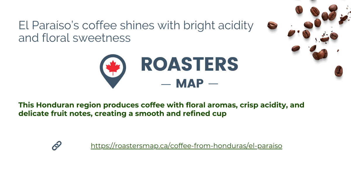 Coffee From El Paraíso – Honduras’ Flavorful Brew | Roasters Map