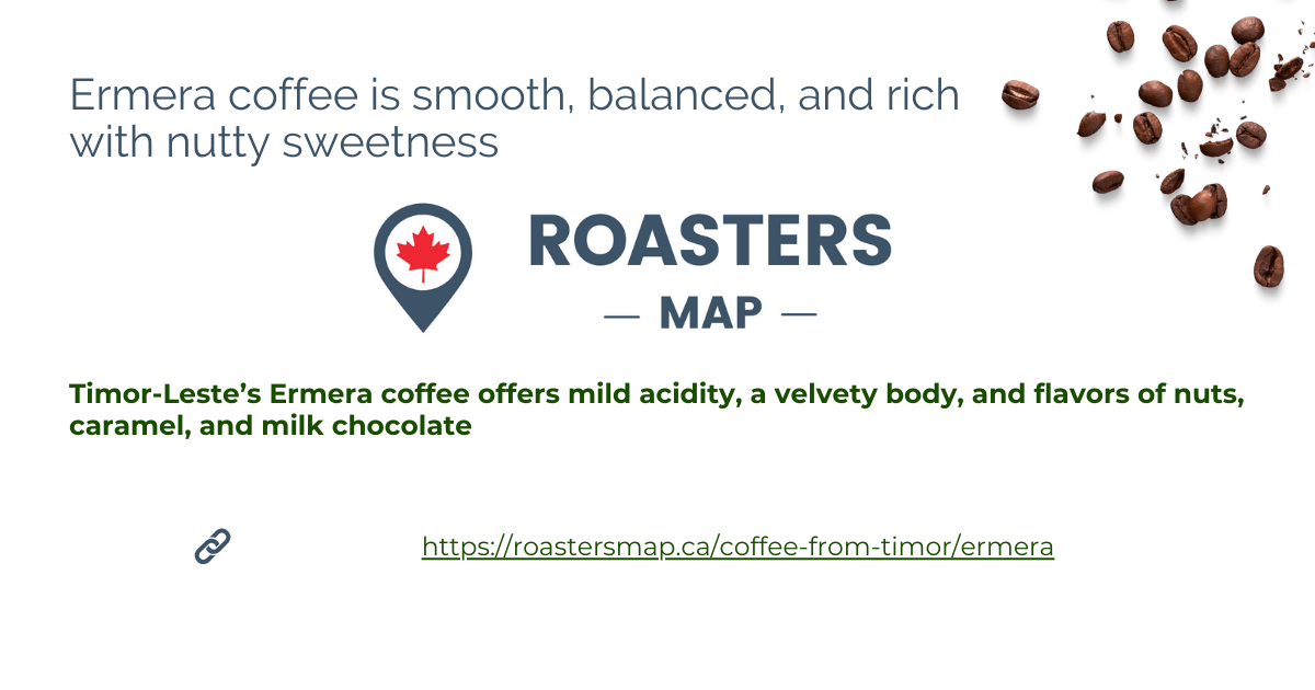Coffee From Ermera – Timor-Leste’s Bold Flavors| Roasters Map