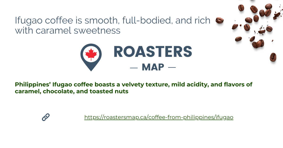 Ifugao Coffee – A Philippine Highland Treasure | Roasters Map