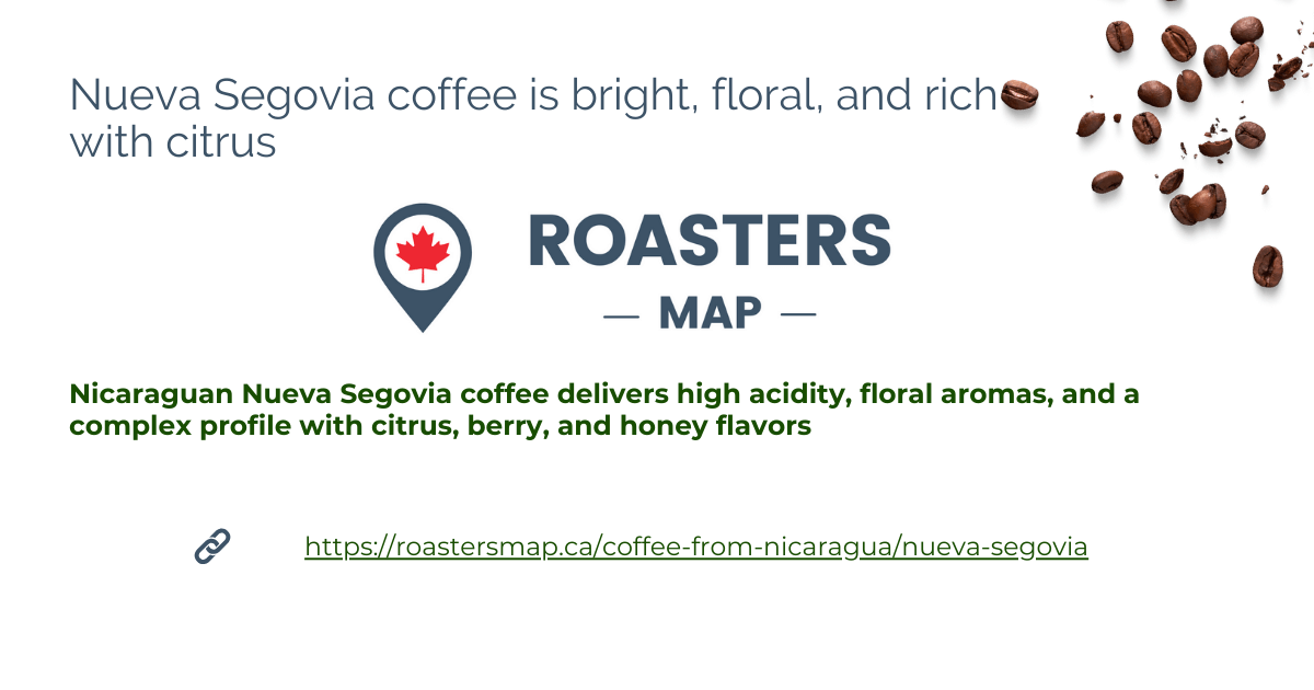 Coffee From Nueva Segovia – Nicaraguan Specialty | Roasters Map