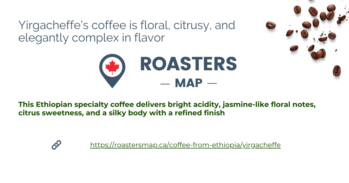 Exquisite Yirgacheffe Coffee from Ethiopia’s Highlands| Roasters Map